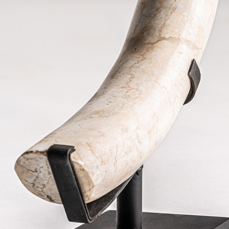 Figurine en corne d'os d'ivoire, 36x10x43cm — Qechic