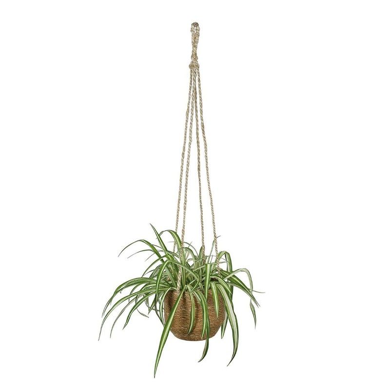 Hogla Hangende Planter, Ø17x90cm — Qechic